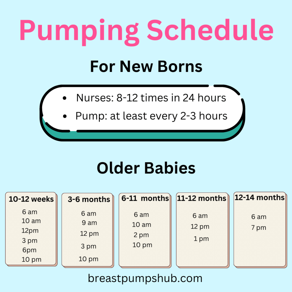 A How-To Guide On Pumping Schedule To Increase Milk Supply